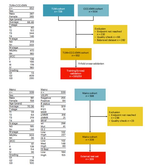 文献速递：深度学习疾病预后 多染色深度学习预测结直肠癌的预后和治疗反应 影像组学科研世界 国内第一个影像组学论坛