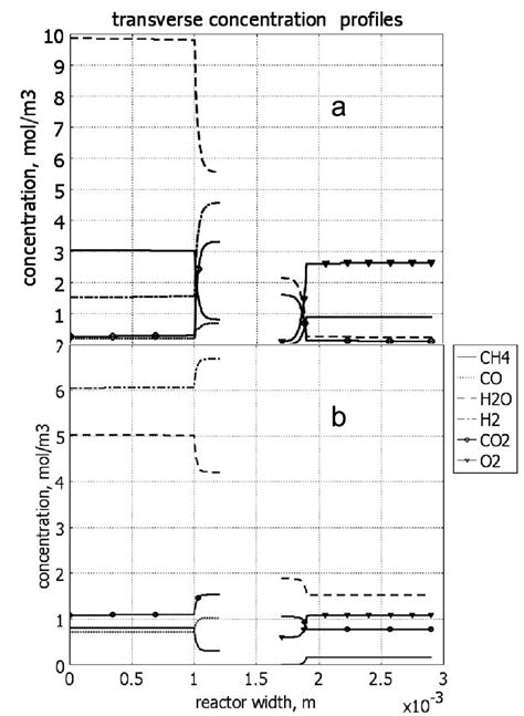Comparison Between Transverse Profiles Of Species Concentrations In The Download Scientific