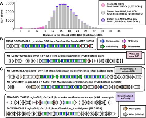 A Histogram Of Euclidean Distances X Axis Of Gcf Models To Their