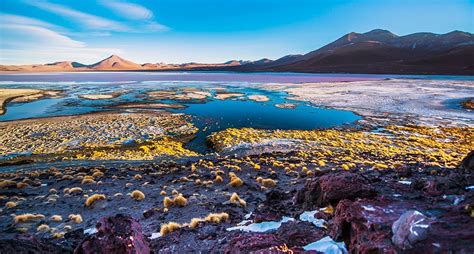 El Altiplano Andino La Guía De Geografía