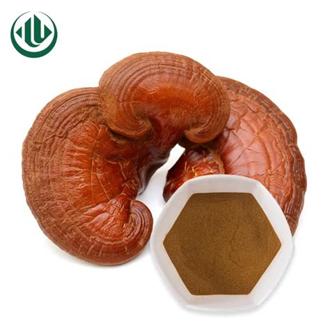 Oem Polysaccharide Lingzhi Mushroom Extract Reishi Powder