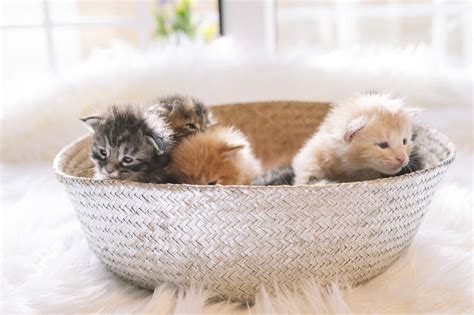 Whats The Difference Between Valid Xml And Valuable Xml Well Its A Lot Valid Xml Parses