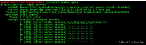 Linux环境下部署nginxlinux部署nginx门户 Csdn博客