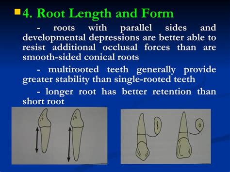 1 Fixed Partial Denture Finals1 Ppt Dental Health Diseases And 1 Fixed Partial Denture Finals1 Ppt Dental Health Diseases And