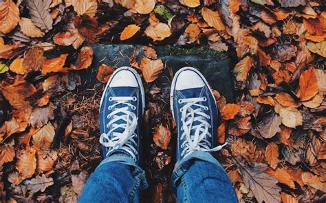 Emilie Wapnick On Linkedin Which Multipotentialite Season Are You In