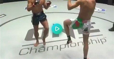 Remember The Five Ds Dodge Duck Dip Dive And Dodge  On Imgur