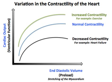 Cardiac Output Wikidoc