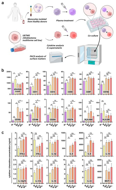 Monocyte Surface Marker Expression And Cytokine Release Profiles In Gbm Download Scientific