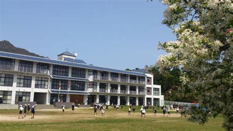 柳東小学校 柳東小学校 柳井市ホームページ