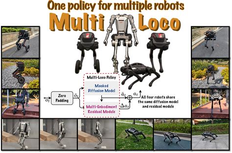 Multi Loco Unifying Multi Embodiment Legged Locomotion Via Reinforcement Learning Augmented