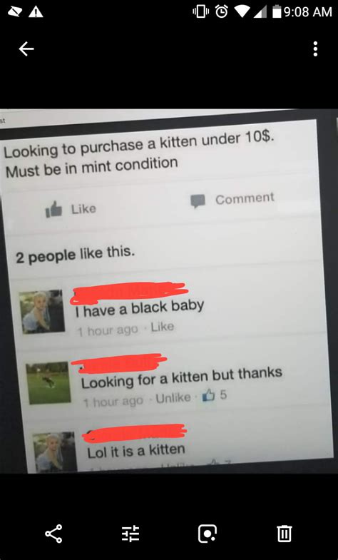 Couldnt Decide Between This Page Or Wooosh Rcrackheadcraigslist