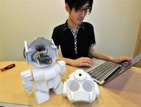 Humanoid Robot Rapiro