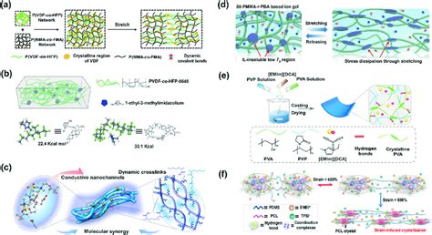 A Schematic Illustration Of The Double Network Ionic Conductor Download Scientific Diagram