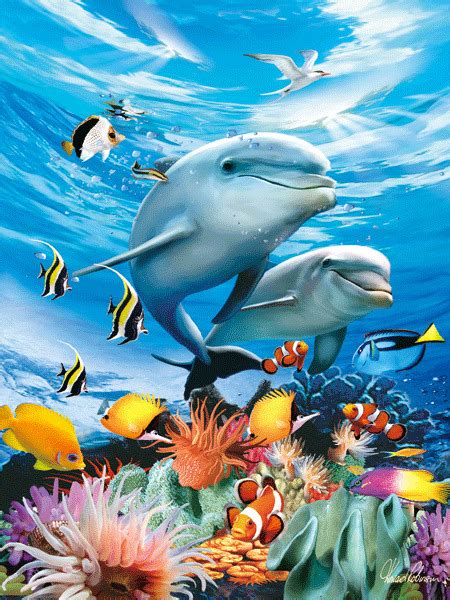 熊猫海豚 飞旋海豚 伊河海豚 大山谷图库
