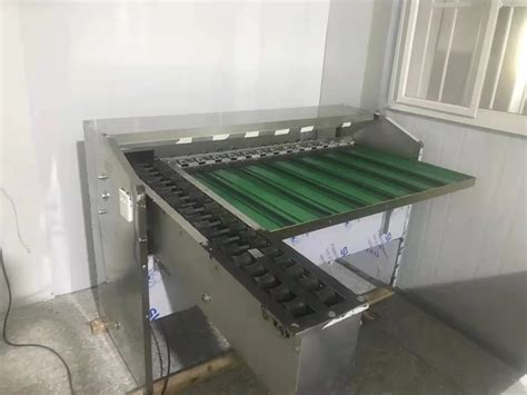 Egg Size Sorting Machine Industrial Stainless Steel Egg Washer And