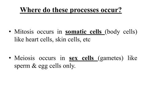 Biology Theory 5 Cell Division In Eukaryotic Cell Ppt