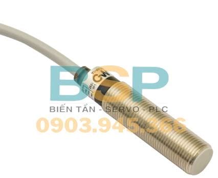 AM CP H Micro Detectors