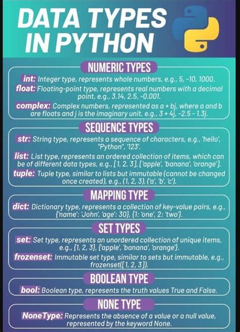 Python Datatypes Coding Learning Programming Developerjourney
