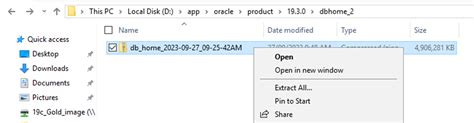 Oracle Database 19c Software Cloning Using Gold Image Windows