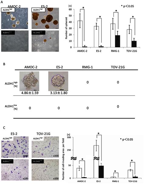 A Sphere Forming Assay One Thousand Aldh1high Cells And Aldh1low Cells Download Scientific