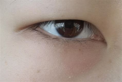 Does Anybody Else Have These Kinds Of Monolids R Monolidmakeup