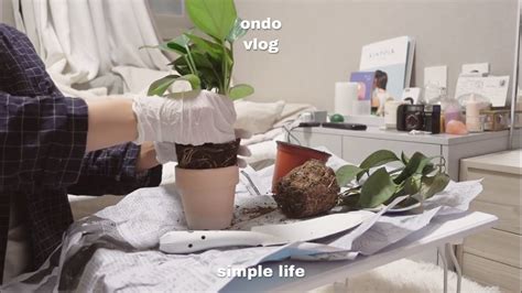 Eng전시회도 보고인절미잼도 만들고 알찬 주말 보낸 일상 Youtube