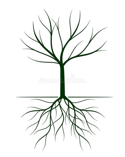 Naked Tree Vector Outline Illustration Plant In Garden Stock Vector Illustration Of Isolated