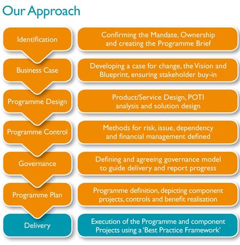 Program Management Process Map Risk Management