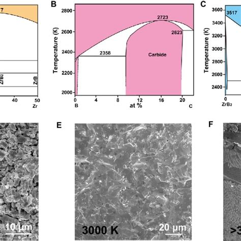 The Influence Of Temperature And Phases On The Sintering Results Phase Download Scientific