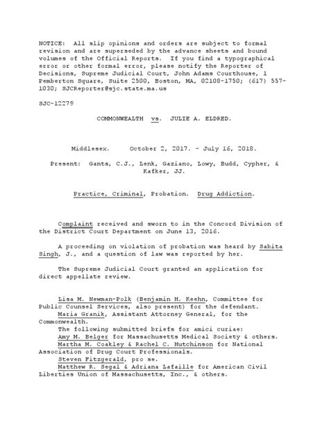 Commonwealth Vs Julie A Eldred Pdf Probation Substance Use