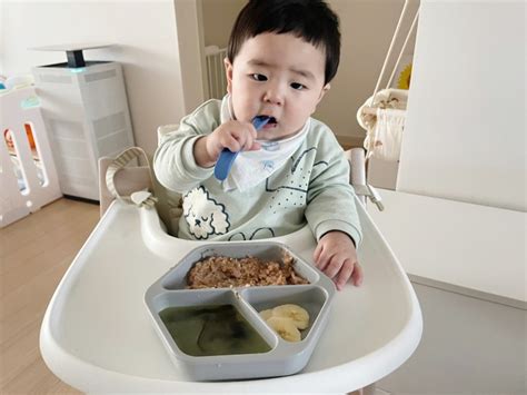 자기주도이유식 준비물 돌아기 흡착식판 타이니트윙클 네이버 블로그