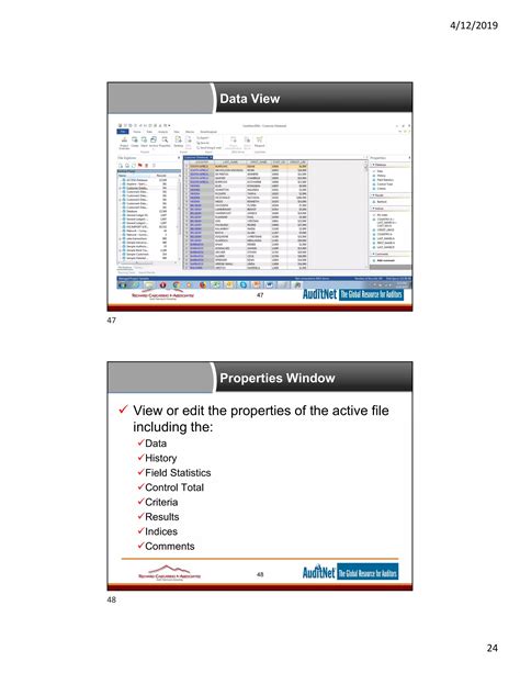 Data Analytics For Auditors Data Analytics Software Pdf Databases