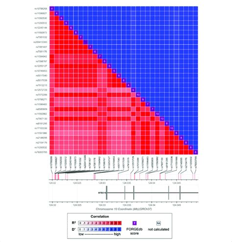 Ld Pattern Between Strong And Weak Snps Marginally Strong Snps Download Scientific Diagram