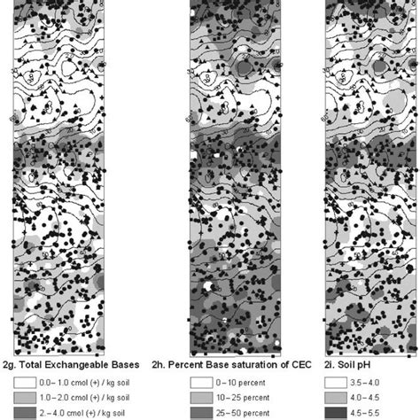 Tree Height Vs Trunk Diameter At 0 1 Tree Height Or Above Buttresses Download Scientific