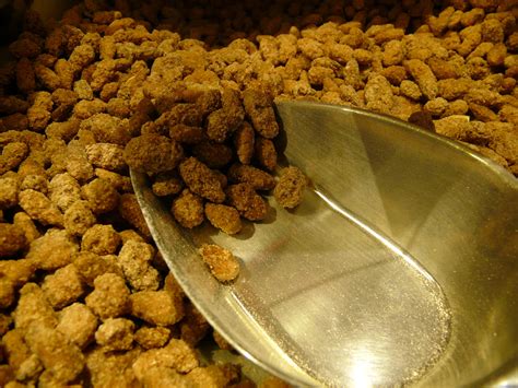 무료 이미지 요리 식품 생기게 하다 야채 수확고 갈색 아침 식사 빵 굽기 맛있는 사탕 채식주의 자 음식 단맛 과자 섬세 꽃 피는 식물 불에 탄