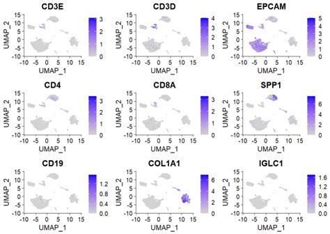 Scrna分析 定制 美化featureplot 图，你需要的都在这 腾讯云开发者社区 腾讯云