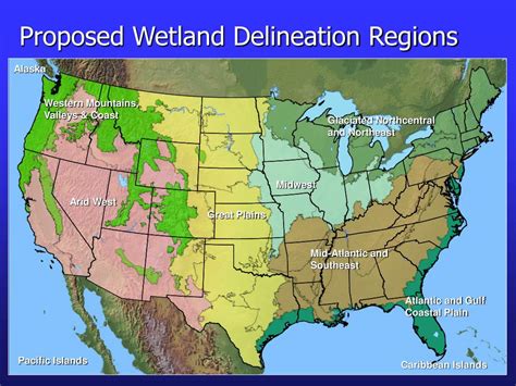Ppt Regionalizing” The Corps Of Engineers Wetland Delineation Manual