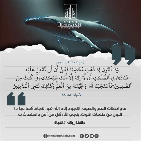 النجاة معرفة الله علم وعَمل