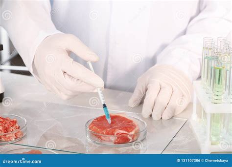 Scientist Injecting Liquid Into Meat Sample Stock Photo Image Of Engineering Female