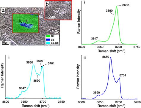 Raman Spectroscopy Point Analysis And Mapping Of Various Serpentinite