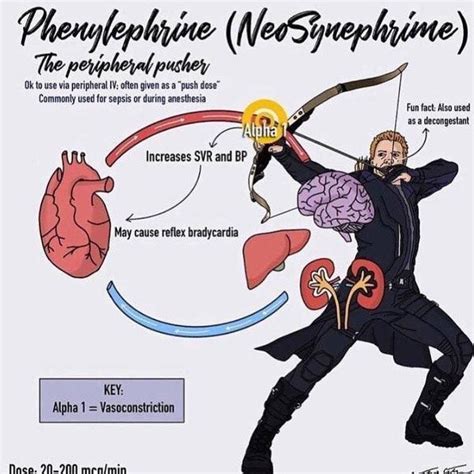 Phenylephrine Medizzy