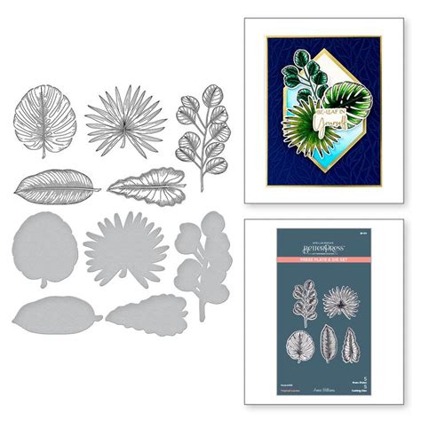 Spellbinders Tropical Leaves Press Plate And Die Set Bp 155 Pressed