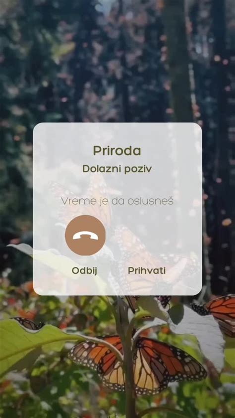 Магична Шума 🌳 Mudri Ljudi Su Od Davnina Bili U Skladu Sa Prirodom Zapisi O Tome I Govore 🌳