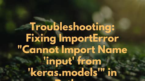 Troubleshooting Fixing Importerror Cannot Import Name Input From Kerasmodels In Python