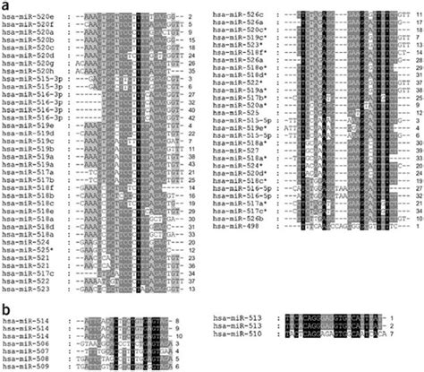Identification Of Hundreds Of Conserved And Nonconserved Human MicroRNAs Nature Genetics