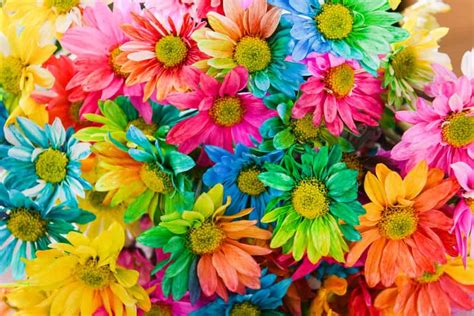 Pic Of Flowers To Color