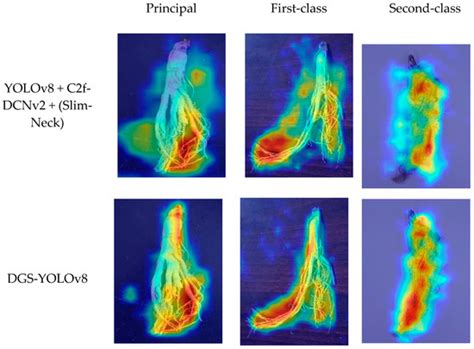 Agriculture Special Issue Advanced Image Collection Processing