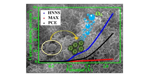 Single Step Synthesis Of Well Ordered Hierarchical Nickel