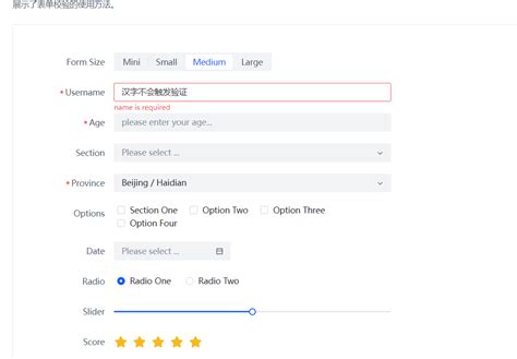 表单验证为必填时填写汉字不会使错误信息消失 Issue arco design arco design vue GitHub
