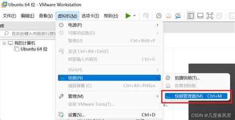 vmware虚拟机硬盘扩展是灰色的 无法扩展具有快照的虚拟机中的磁盘 csdn博客